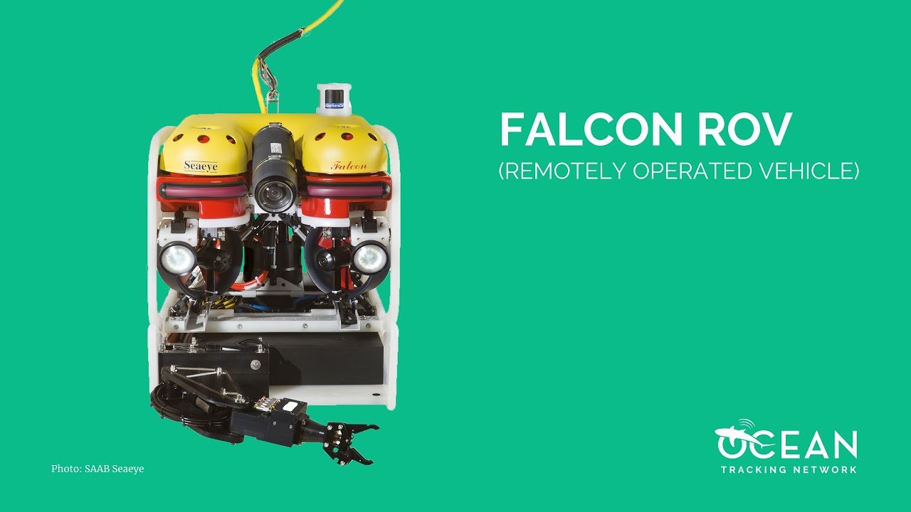 OTN goes deeper with 1000-metre rated Falcon ROV | Coral Heads ...